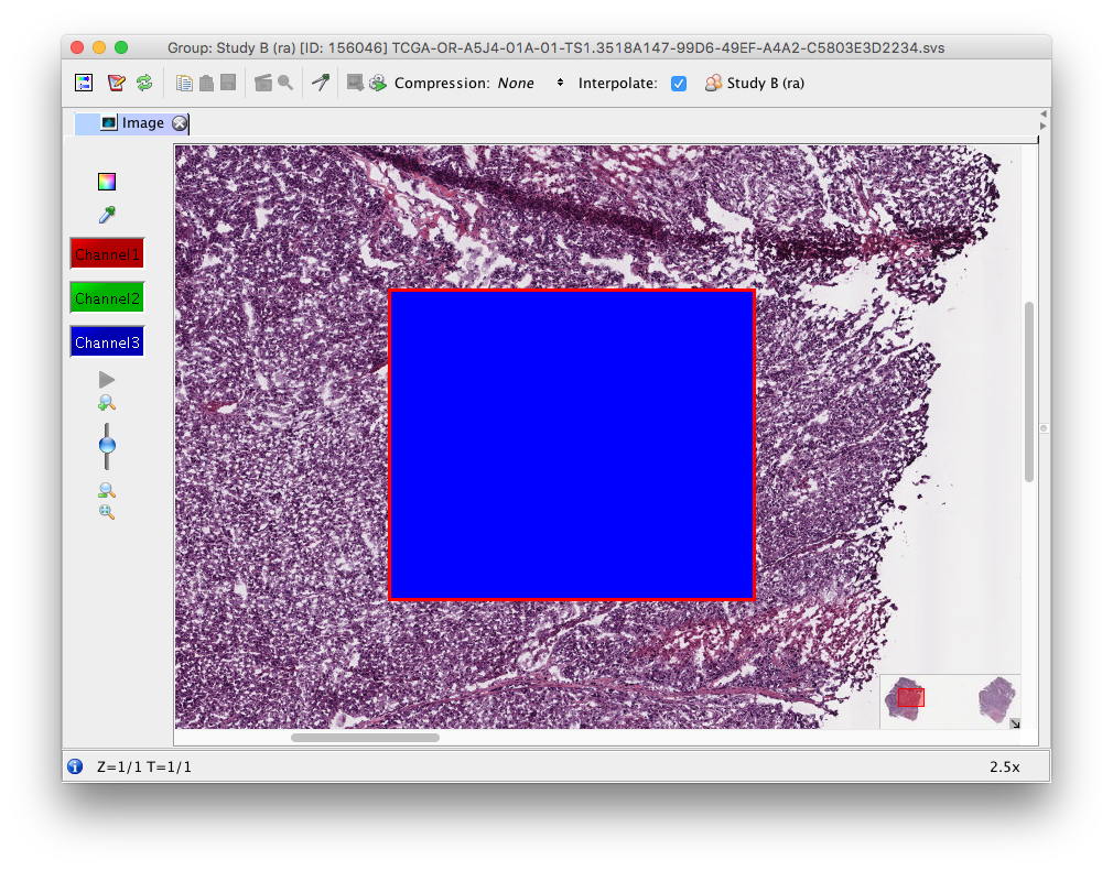 OMERO.insight compatibility — PathViewer 3.14.0 documentation